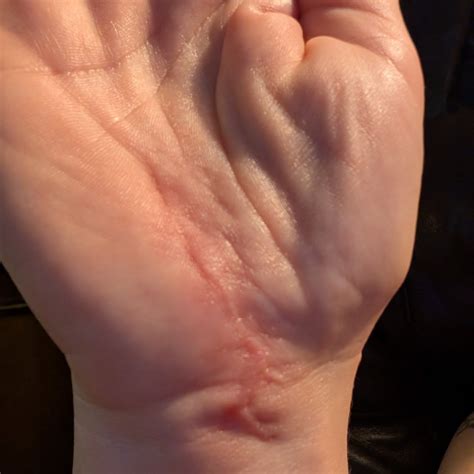 6 Weeks Friends Graduated To 1lb Weights Yesterday Between My Hand