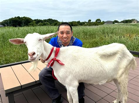 ヤギが主役の旅番組「ヤギと大悟」が、7月15日月午後1時55分に帰ってきます！ゲストは相武紗季＆北山宏光！お久しぶりの雑草旅！果たしてヤギ