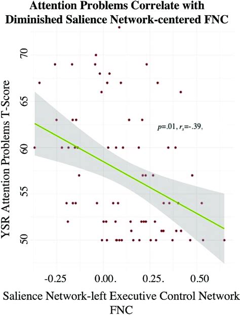 Association Between Fnc In Dynamic State 1 And Attention Problems Download Scientific Diagram