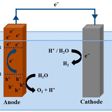 Schematic Representation Of A Pec Cell Download Scientific Diagram