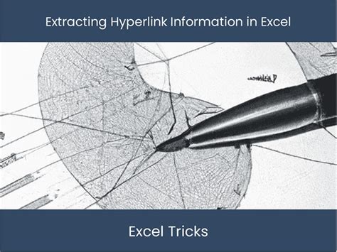 Extract Hyperlink Info In Excel Boost Productivity Now
