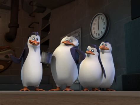 Lol Skipper Penguins Of Madagascar Photo 23224408 Fanpop