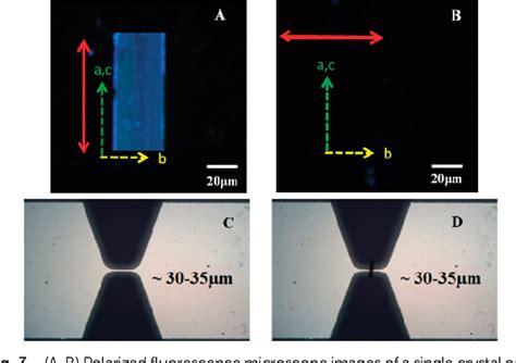 Figure 1 From Bulk Photovoltaic Effect In An Organic Polar Crystal