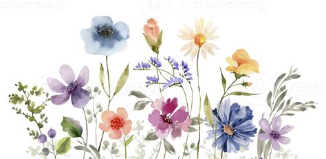 Yellow Flowers Watercolor Illustration 9786197 Png