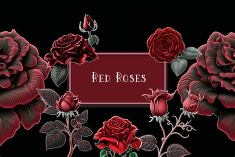 Red Roses Transparent Png Illustration 2411042