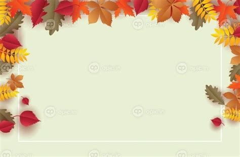 خرید و قیمت دانلود وکتور کادر پاییزی با برگ های پاییزی و حاشیه سفید ترب