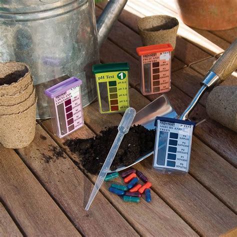 Soil Testing D Plant Horticulture