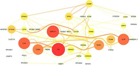 Co Expression Network For The 33 Selected Genes From Genemania The