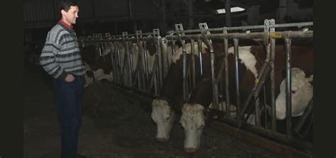 Patrice Chassard Faire Preuve De Résilience Et Se Remettre En
