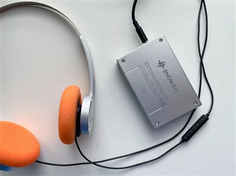 Review Snowsky Echo Mini Player And Wind Earphones Root