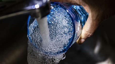 Gesundheit Besser kein Wasser zum Essen trinken Forschende klären Mythos