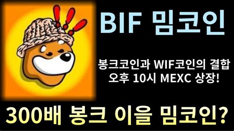 Bif 밈코인 300배 봉크코인 상승률 이을 밈코인 Mexc 거래소 상장 대호재 Youtube