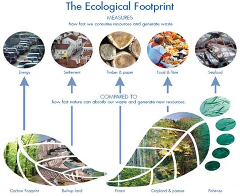 SOS Can Vairet El Concepto de Huella Ecológica