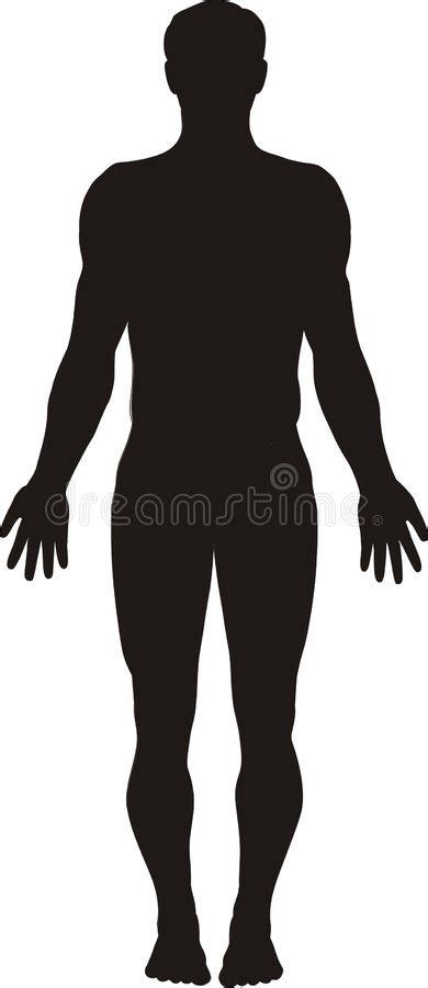 Human Body Silhouette Stock Illustration Illustration Of Structure