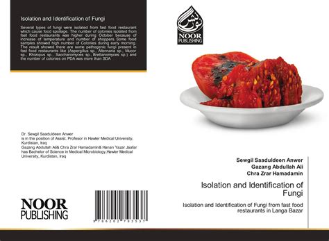 Купить Isolation And Identification Of Fungi Isolation And