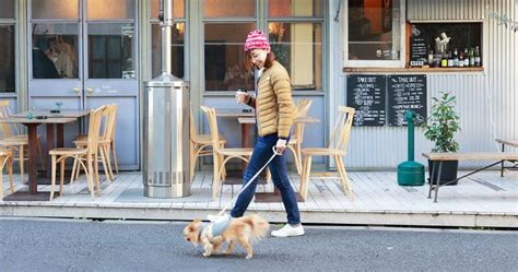 中目黒周辺のドッグカフェ犬連れランチスポット11選散歩途中やランチタイムにピッタリなレストランやカフェあり ペトコトPETOKOTO