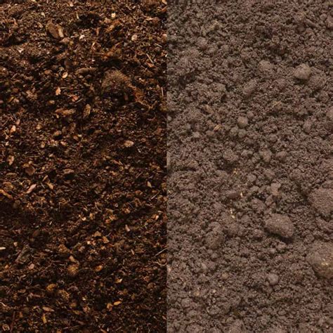 Compost Vs Topsoil Which Do You Need And Why Artsy Pretty Plants