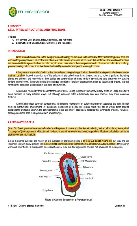 SOLUTION Module 3 Cell Types Structures And Functions Studypool