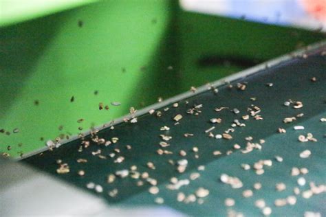 Separation Technology And Sorting Technology Innovations In Recycling