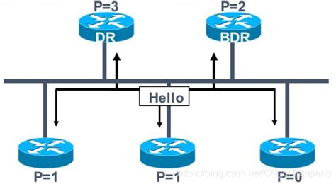 ospf知识汇总及配置——超详细！！ ospf配置 csdn博客