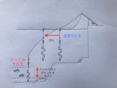 お手軽カンタン効果的ぶっこみサビキ釣りをやってみよう サンスイ 渋谷本店 SHIBUYA THE MAIN SANSUI