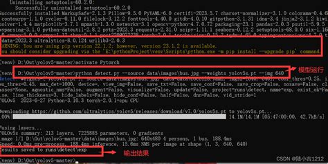Yolov5白皮书 第y1周：调用官方权重进行检测yolov5比较常用的权重 Csdn博客