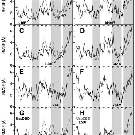 Root Mean Square Fluctuation Rmsf Profiles With Respect To Ecrdbd