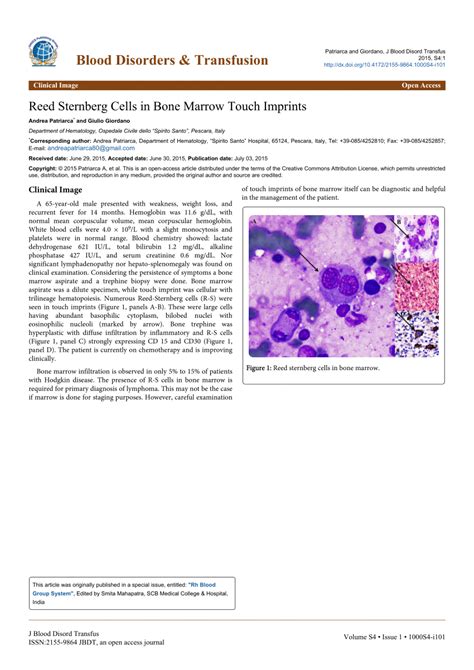 Pdf Reed Sternberg Cells In Bone Marrow Touch Imprints
