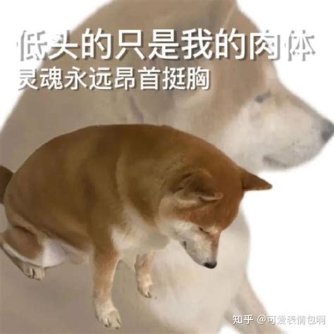 表情合集┃妹妹，我不是闲人，我需要工作！ 知乎