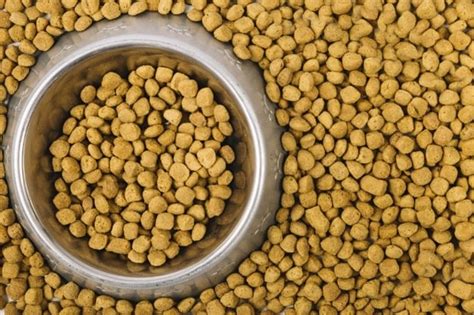 Can Humans Eat Dog Food In An Emergency