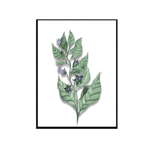 植物花卉墙画矢量元素psd免费下载 图星人
