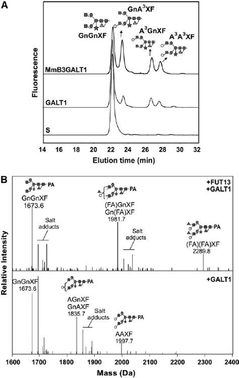 Analysis Of Rnai And Knockout Plants Download Scientific Diagram