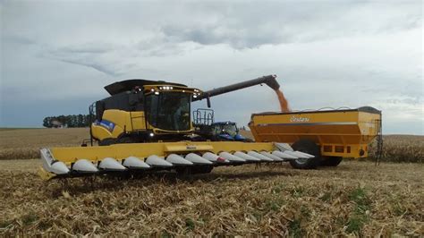 Monsanto ganó juicio al Ministerio de Industria para patentar una