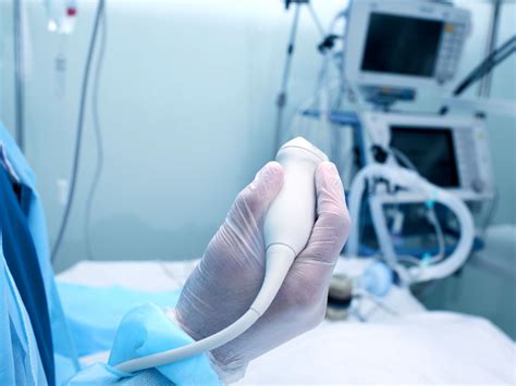 Varicocele Causes Symptoms And Diagnosis