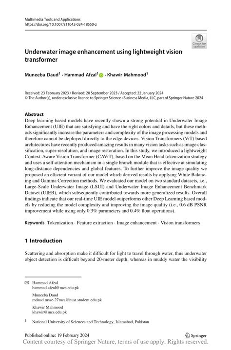 Underwater Image Enhancement Using Lightweight Vision Transformer