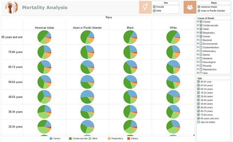 Inetsoft Healthcare Bi Visual Data Analysis B9f3efe6