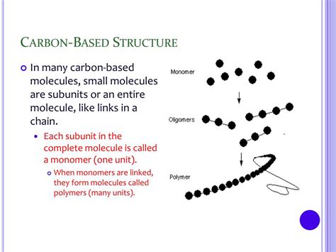 Ppt Carbon Based Molecules Powerpoint Presentation Free Download Id 5615576