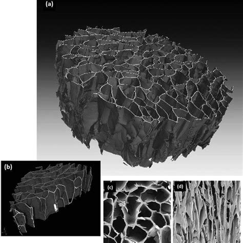 Linear Rcp Scaffold Created Via Ice Templating Three Dimensional View