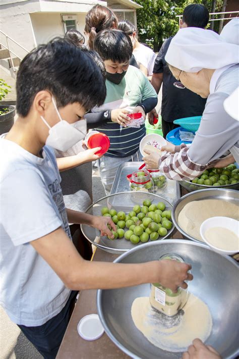 매실청 거르는 시기 매력적인 맛으로 눈길을 사로잡는 비법