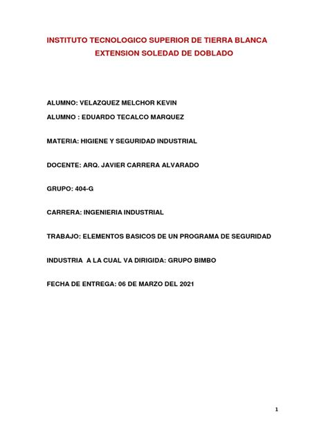 Elementos Básicos De Un Programa De Seguridad E Higiene Industrial Para