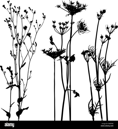 Collection For Designers Plant Vector Stock Vector Image And Art Alamy