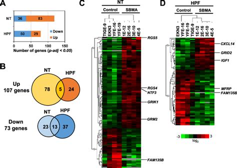 Identification Of Differentially Expressed Genes DEGs By RNA