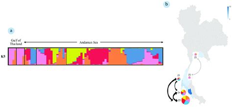 Admixture Bar Plot Estimation Figures Of The Dataset With Sequential Download Scientific