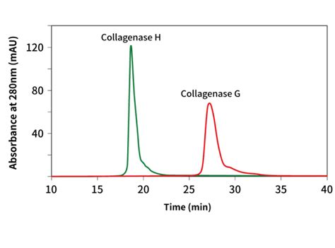 Tissue Dissociation Enzyme