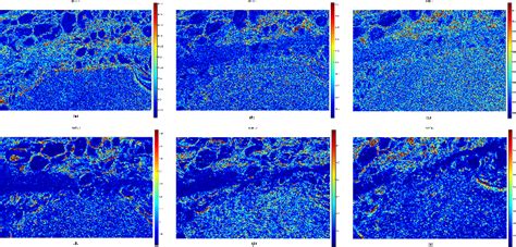 Figure 1 From From Pixel To Slide Image Polarization Modality Based