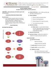 Chapter Handout Docx Pdf ONLINE LEARNING HANDOUT Principles Of