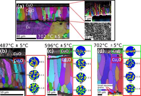 Understanding The Growth Of Copper Oxide Nanowires And Layers By