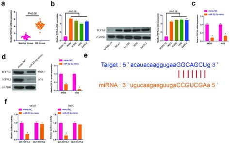 Tcf7l2 Is Highly Expressed In Os And Targeted By Mir 22 3p A Tcf7l2
