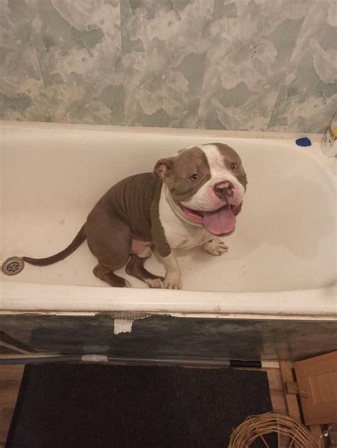 F724b04d 4b99 4b8c B714 0a901370be2b — Postimages