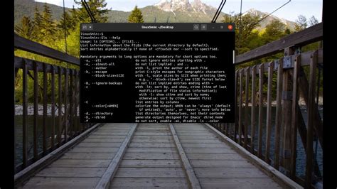 ls command in linux explained in details ubuntu 20 04 must watch